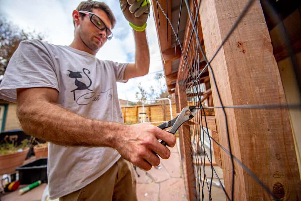 Denver | Colorado | Catios - Cat Topia