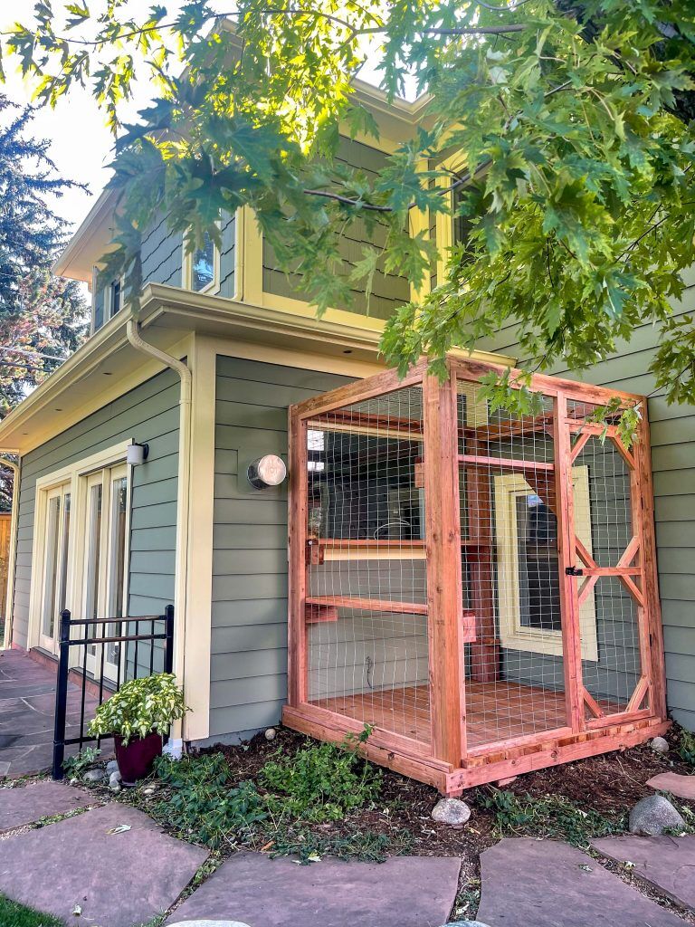 Small Catio: The Purrfect Outdoor Haven for Your Feline Friend