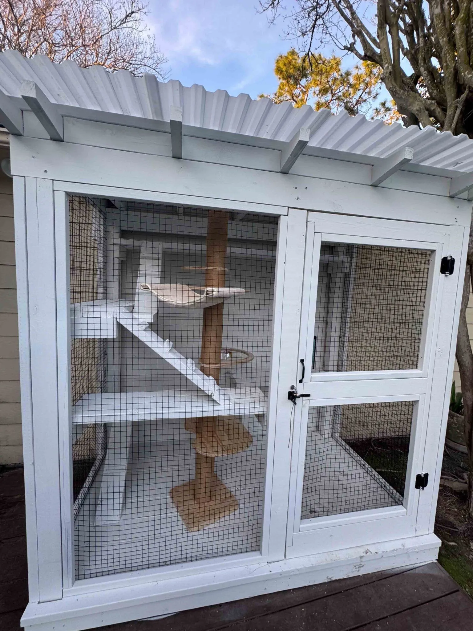 Houston Catio Build | Custom Garage Catio Installation | Cat Topia