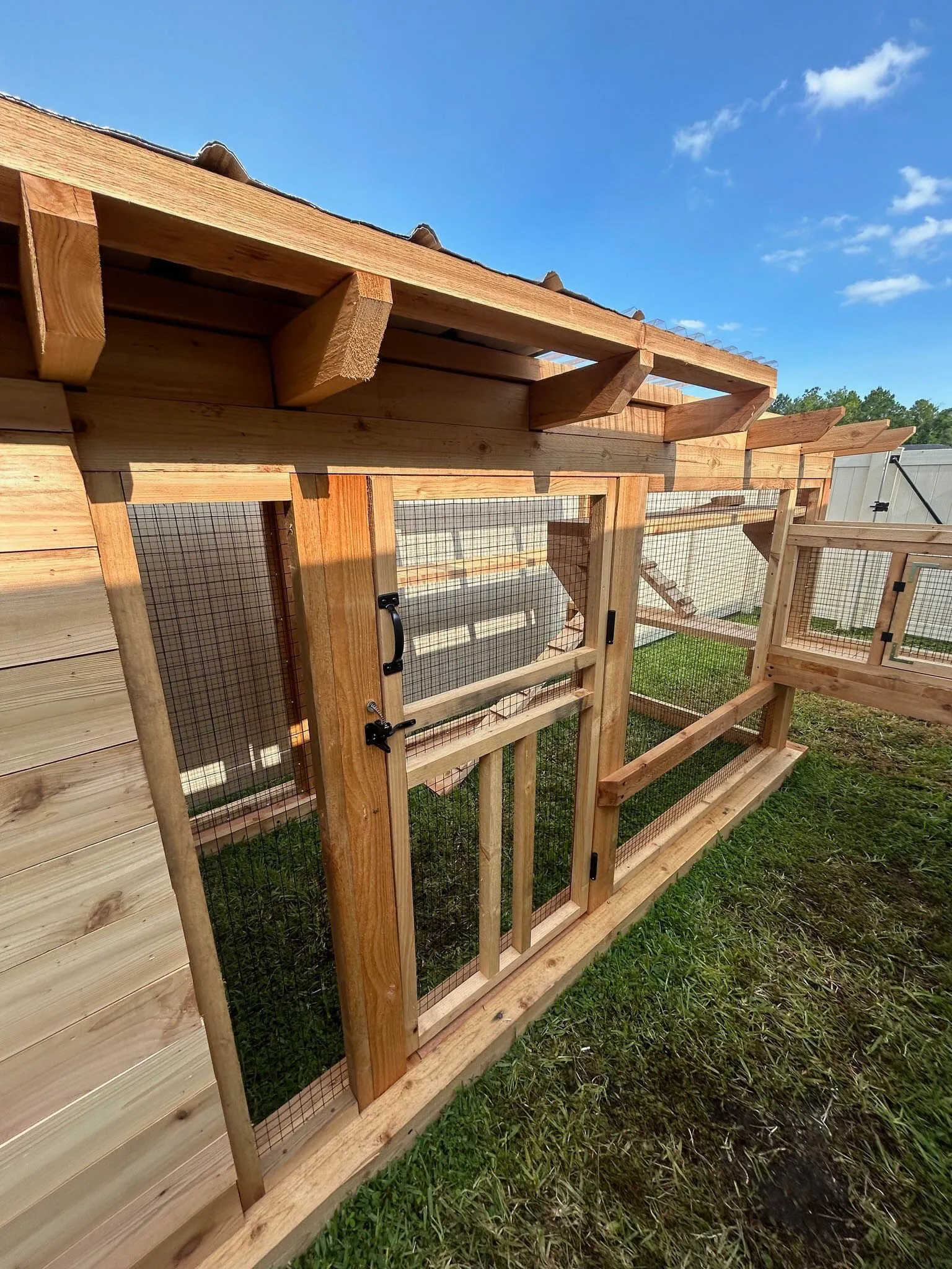 Fully Enclosed Outdoor Catio With Tunnel | The Tunnel Retreat