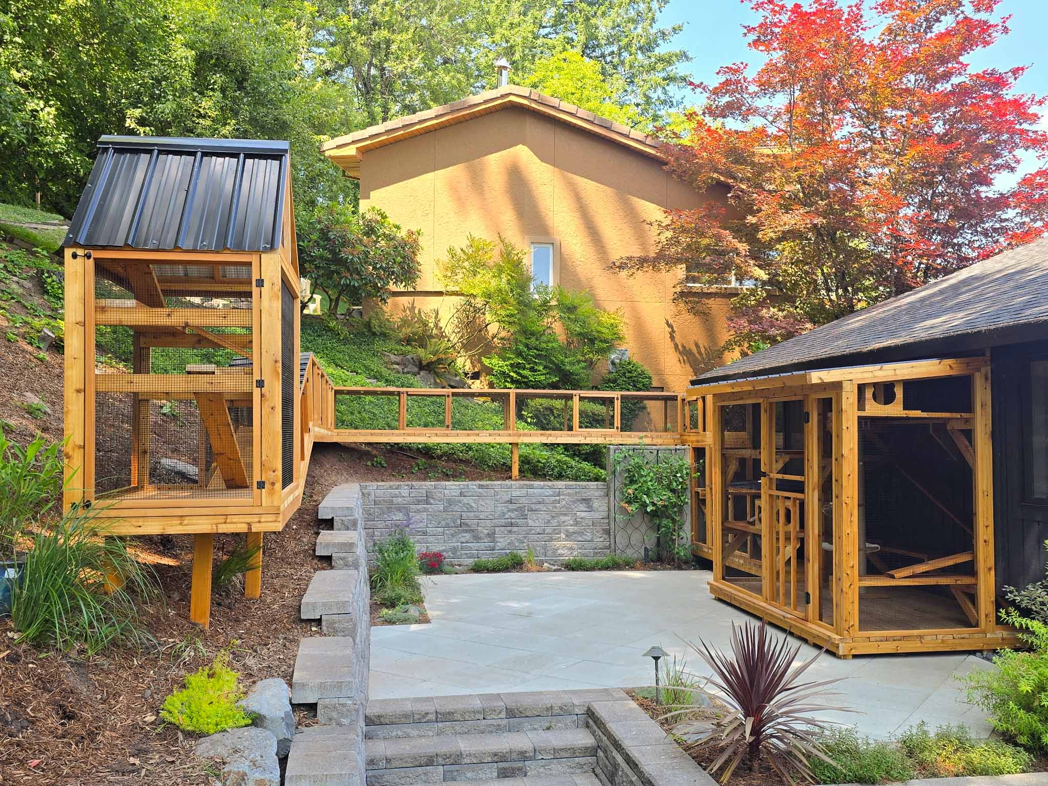 Large Catio with Tunnel & Multi-Level Tower | The SkyTrail Lodge