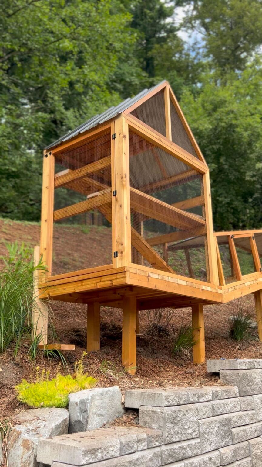 Large Catio with Tunnel & Multi-Level Tower | The SkyTrail Lodge