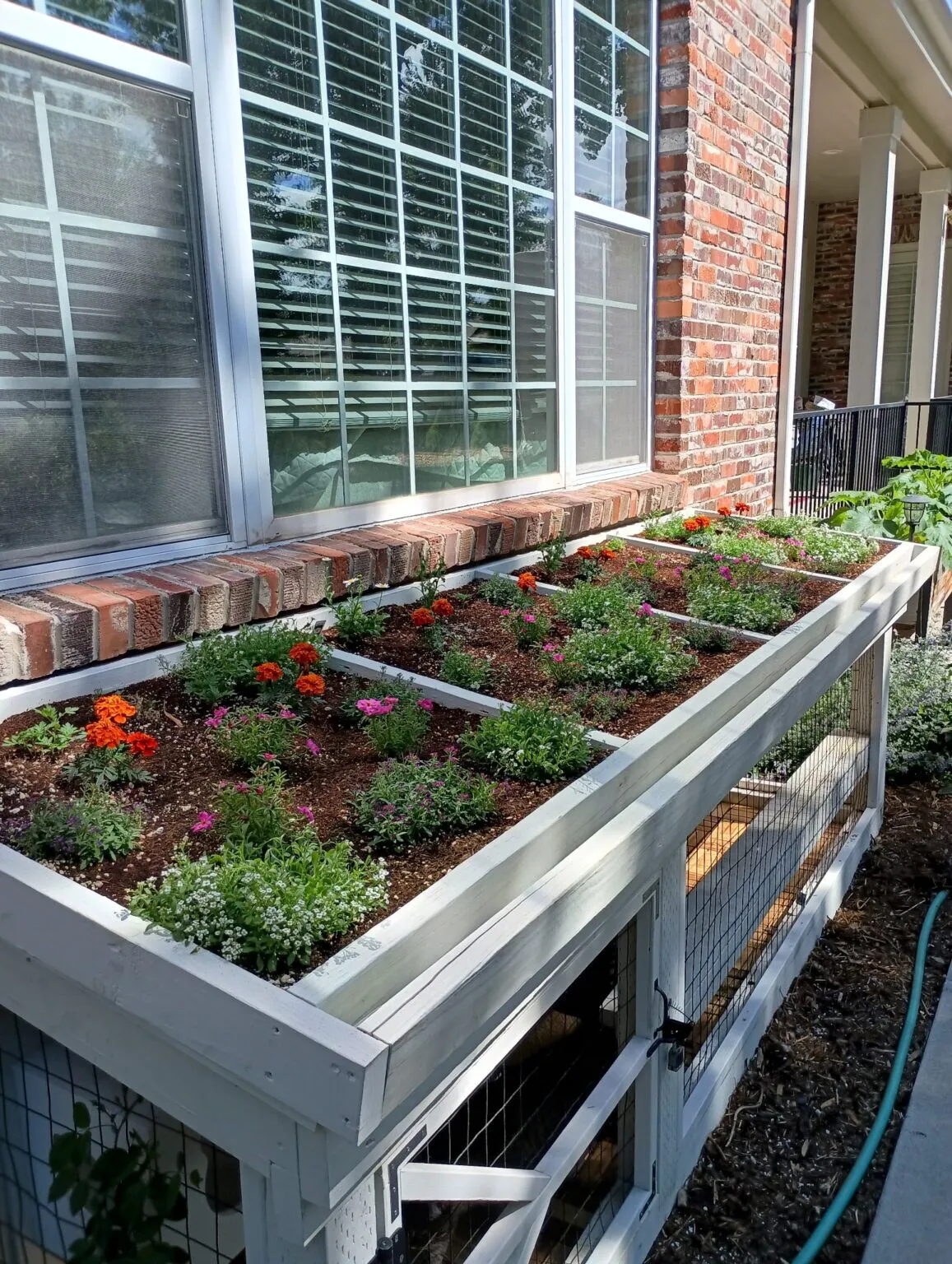 Custom Window Catios – Professionally Designed & Built - Cat Topia