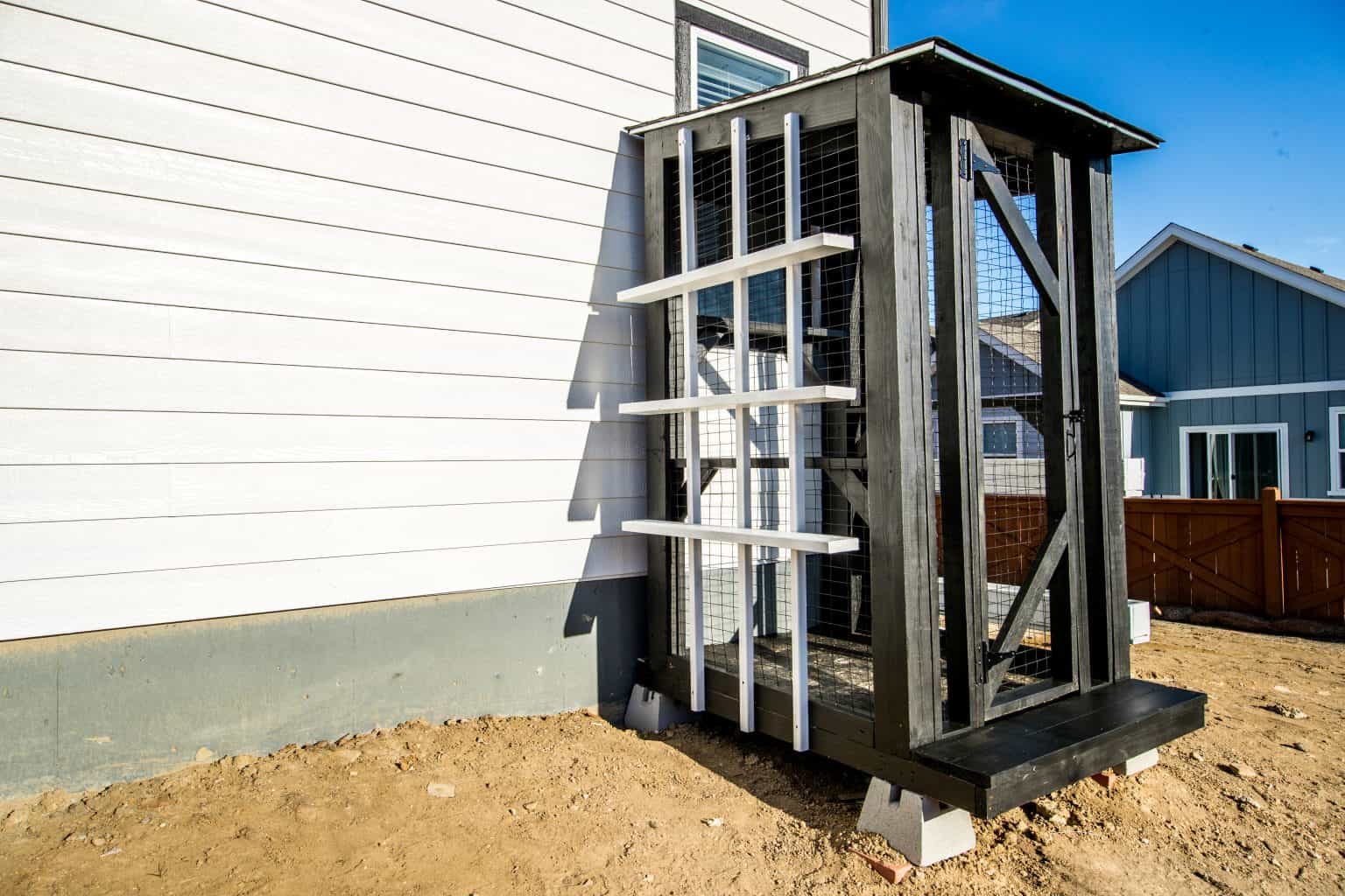 Catio Images | Browse Photo Gallery - Cat Topia