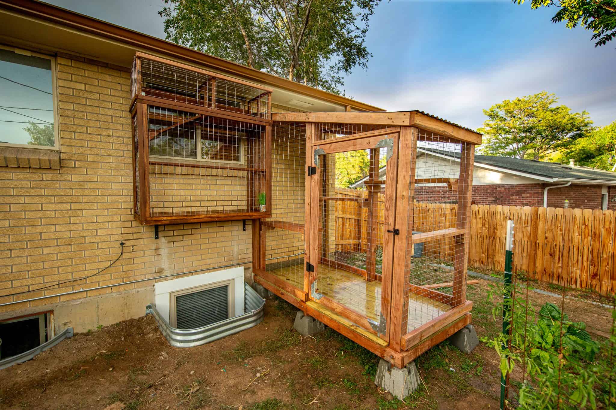 Before and After Photos - Cat Topia