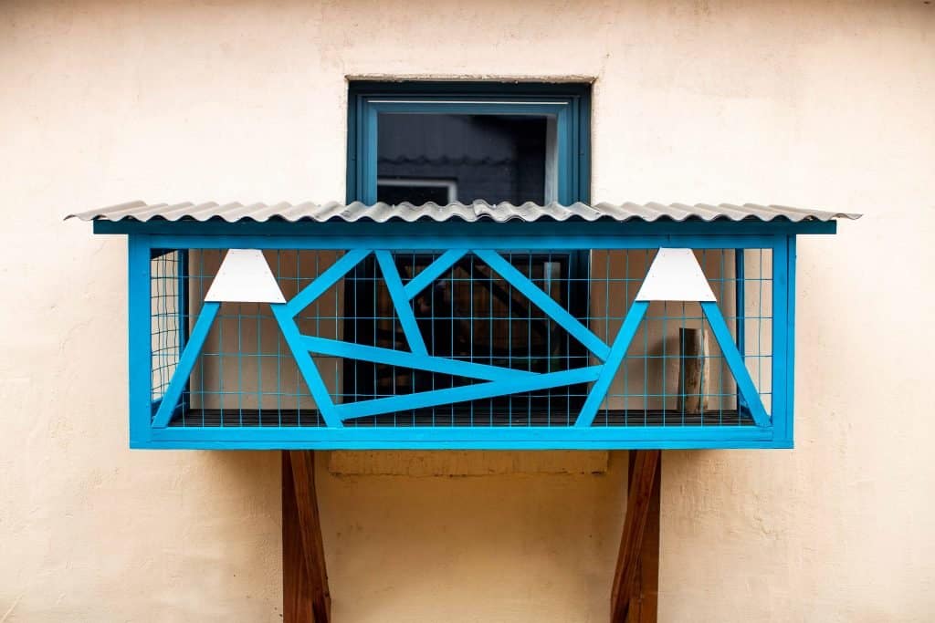 Denver | Colorado | Catios - Cat Topia