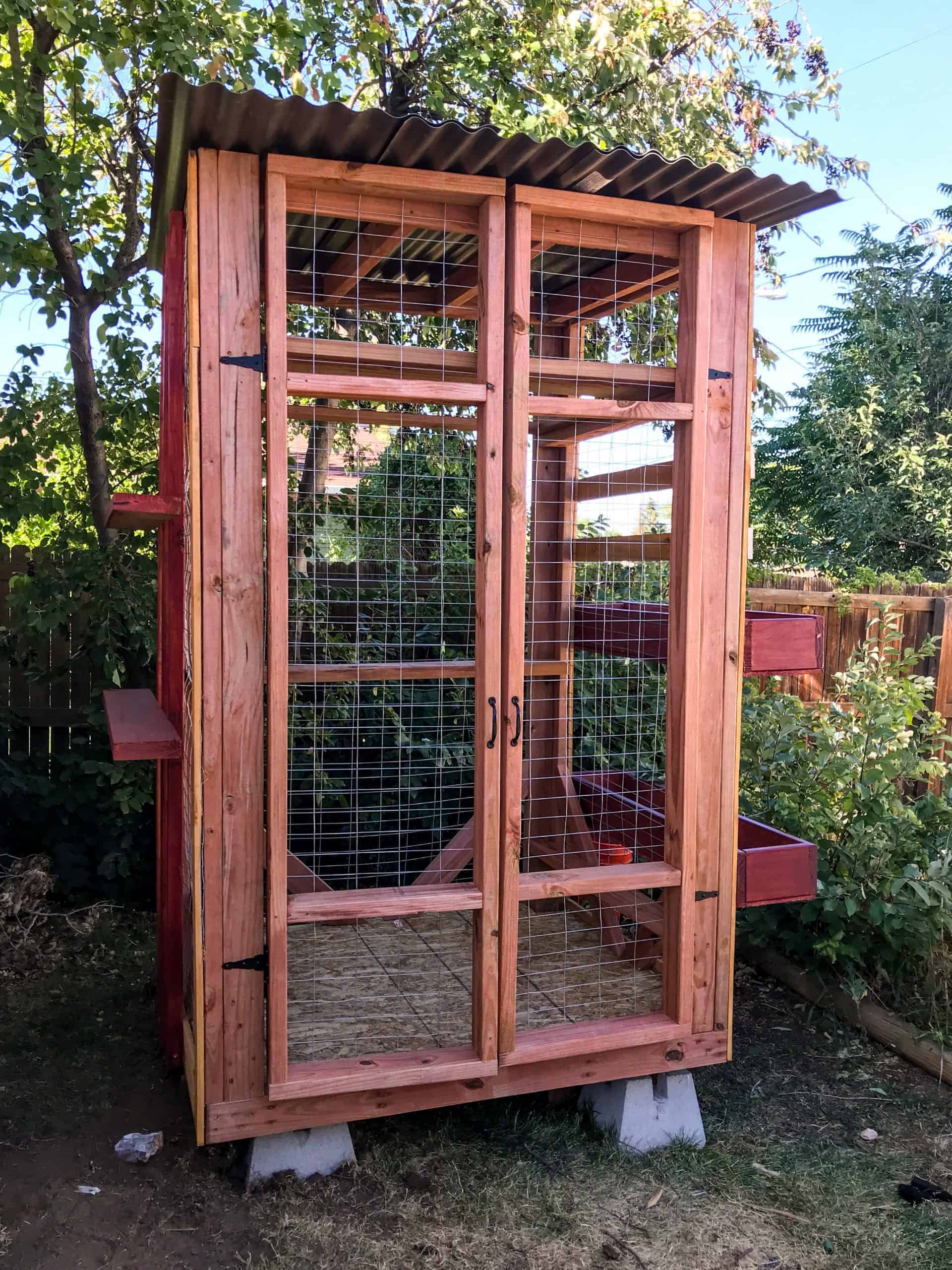 What is a Catio? - Cat Topia