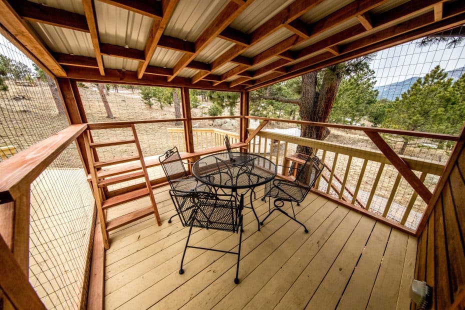 What is a Catio? - Cat Topia