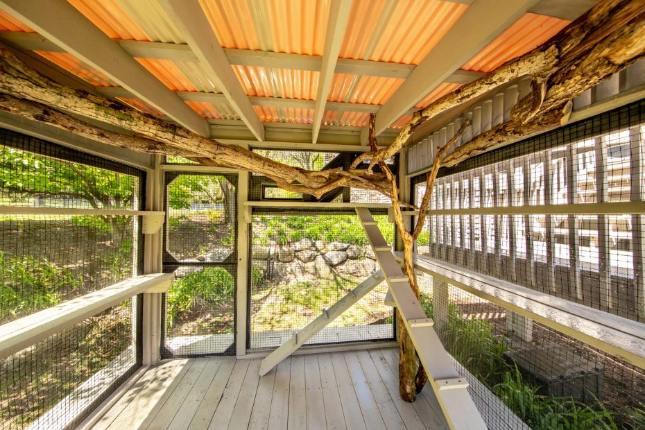 Outdoor Cat Tree: The Perfect Playground for Your Feline Friend