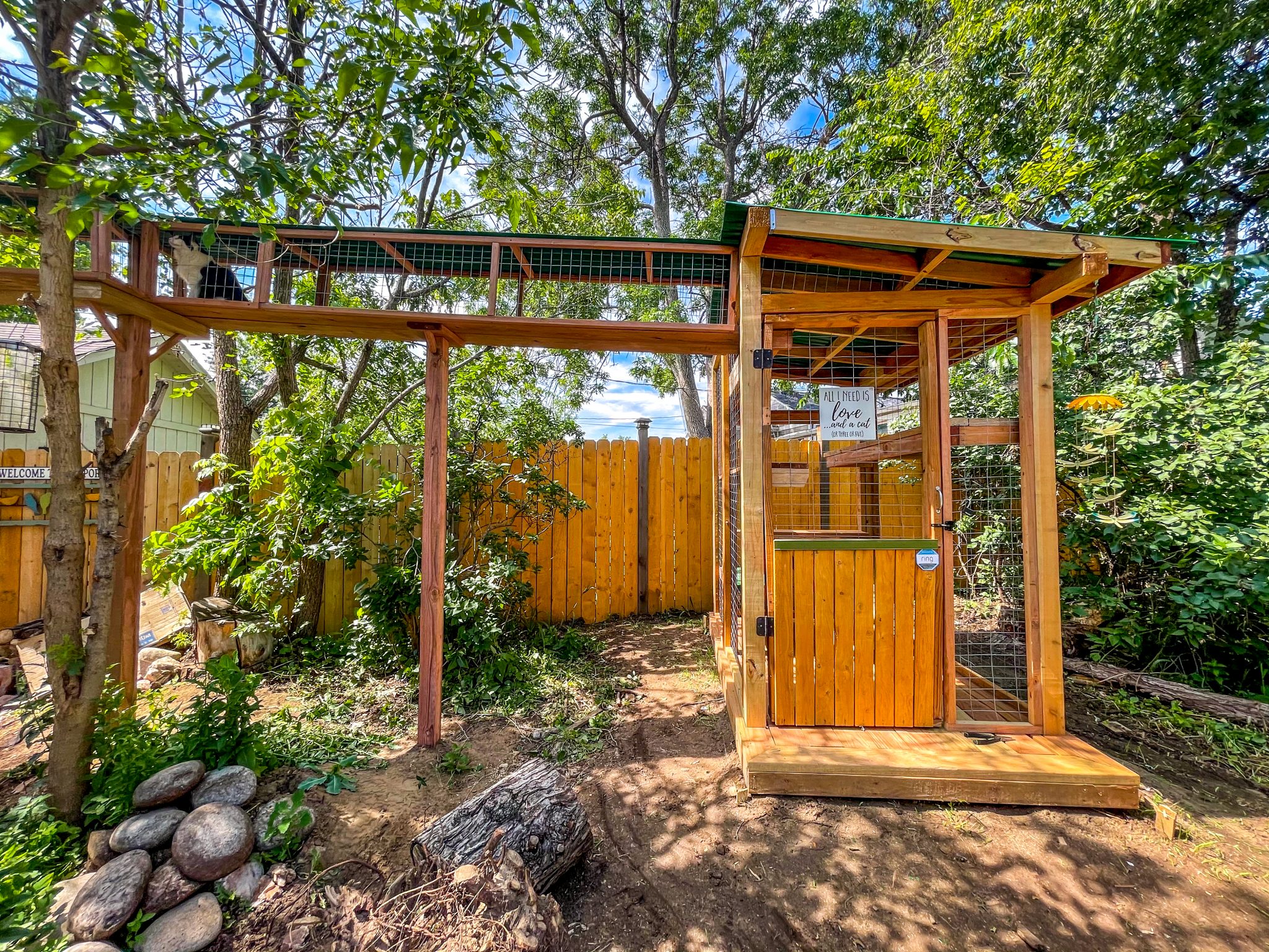 Cat Tunnel Services - Cat Topia