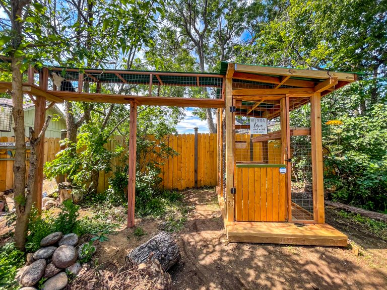 Custom Outdoor Cat Enclosures for Sale - Custom Catio