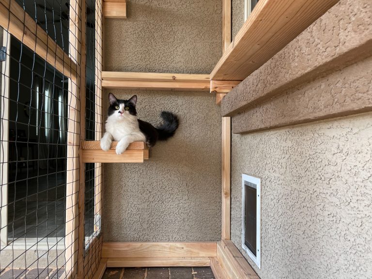 Catio Shelves - Cat Topia