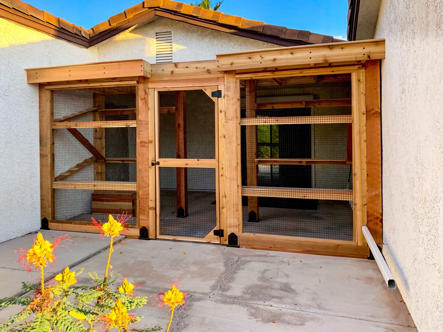 Large Catio - The Ultimate Solution for Outdoor Cat Enclosures