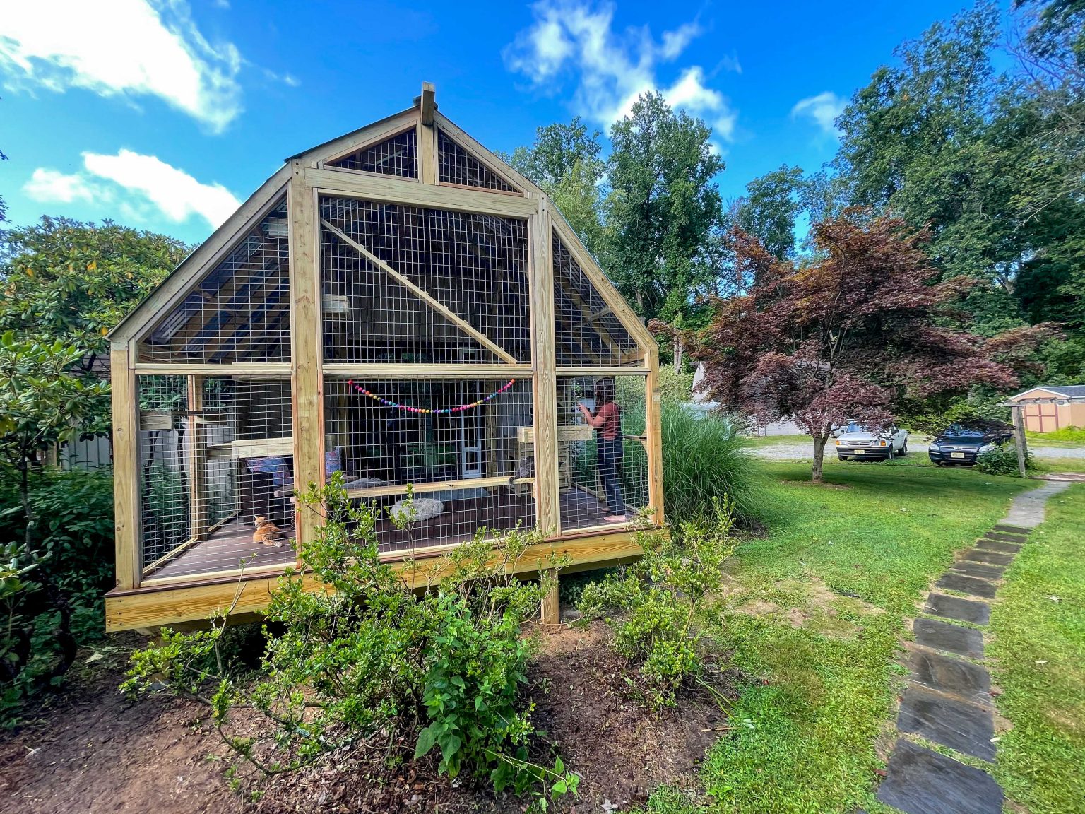 Large Catio - The Ultimate Solution for Outdoor Cat Enclosures