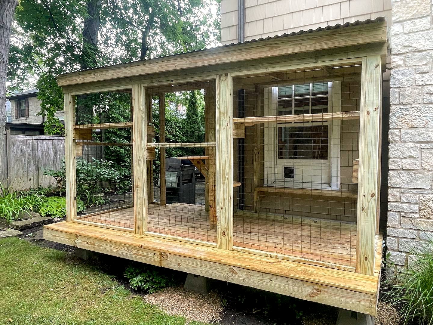 Large Catio The Ultimate Solution For Outdoor Cat Enclosures