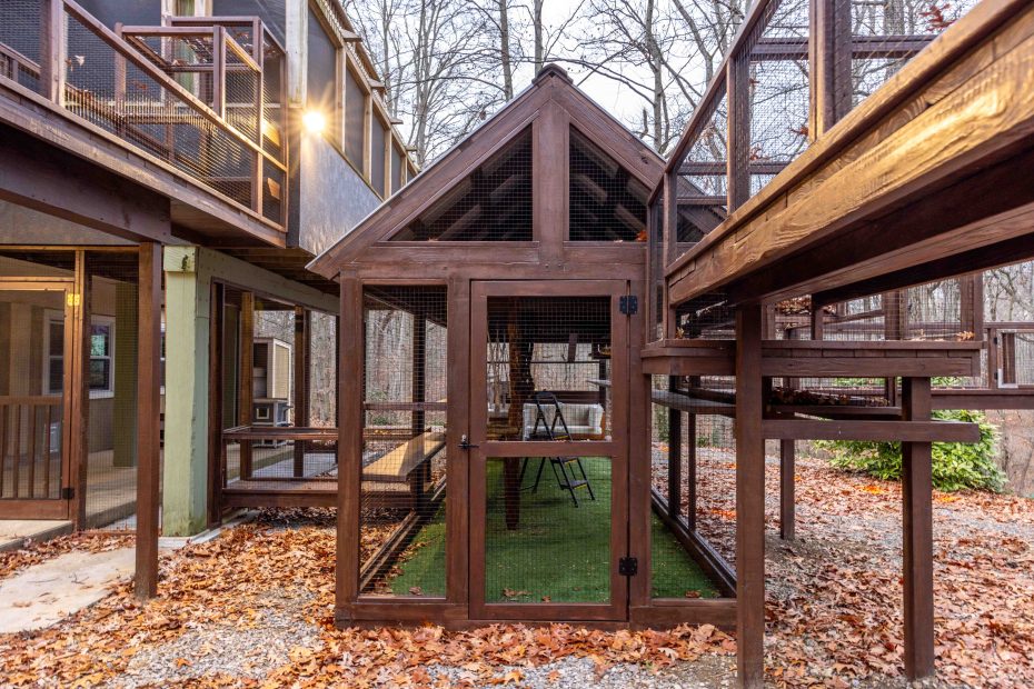 Large Catio Build Over 500 SqFt | Includes Long Cat Tunnel