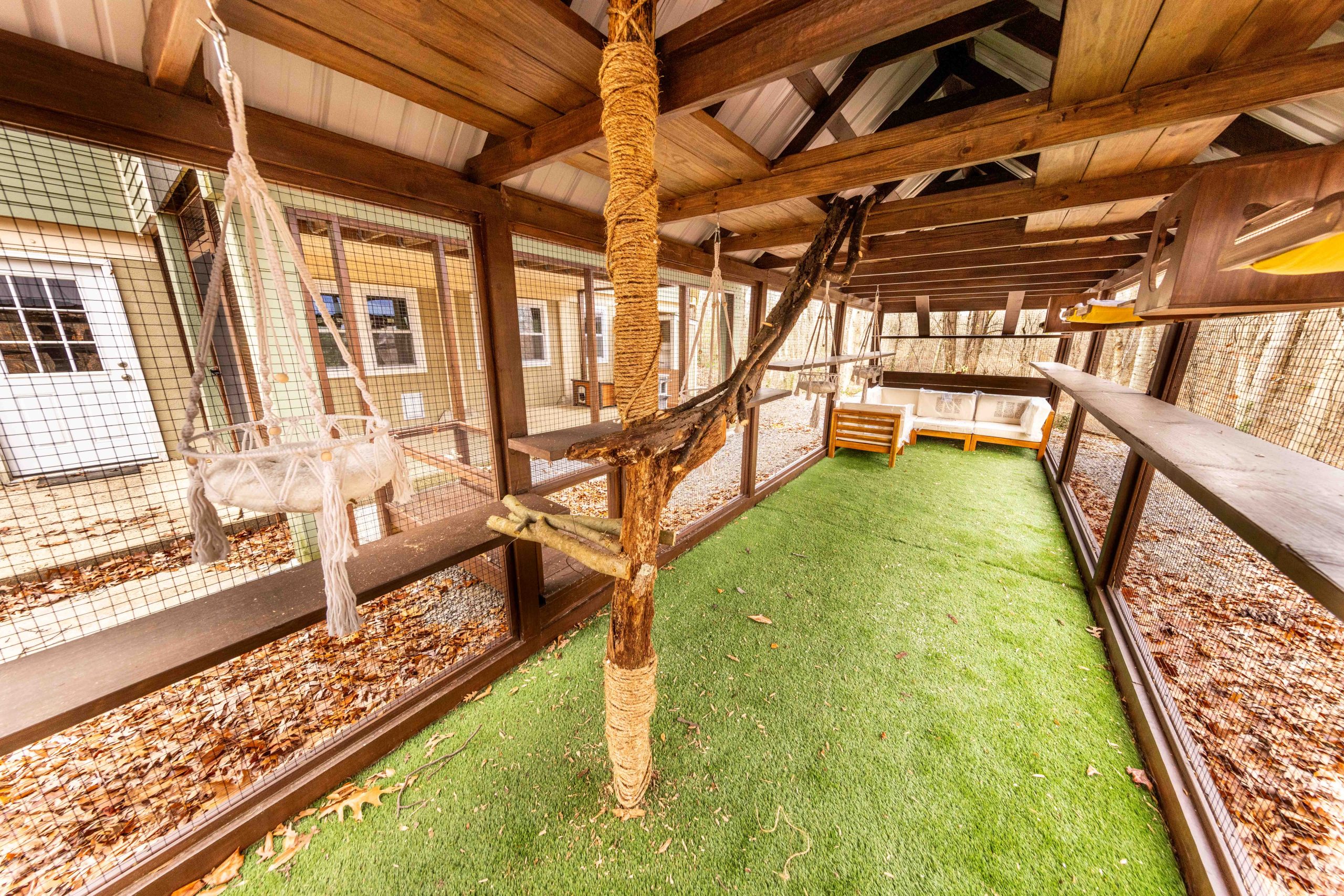 Large Catio Build Over 500 SqFt | Includes Long Cat Tunnel