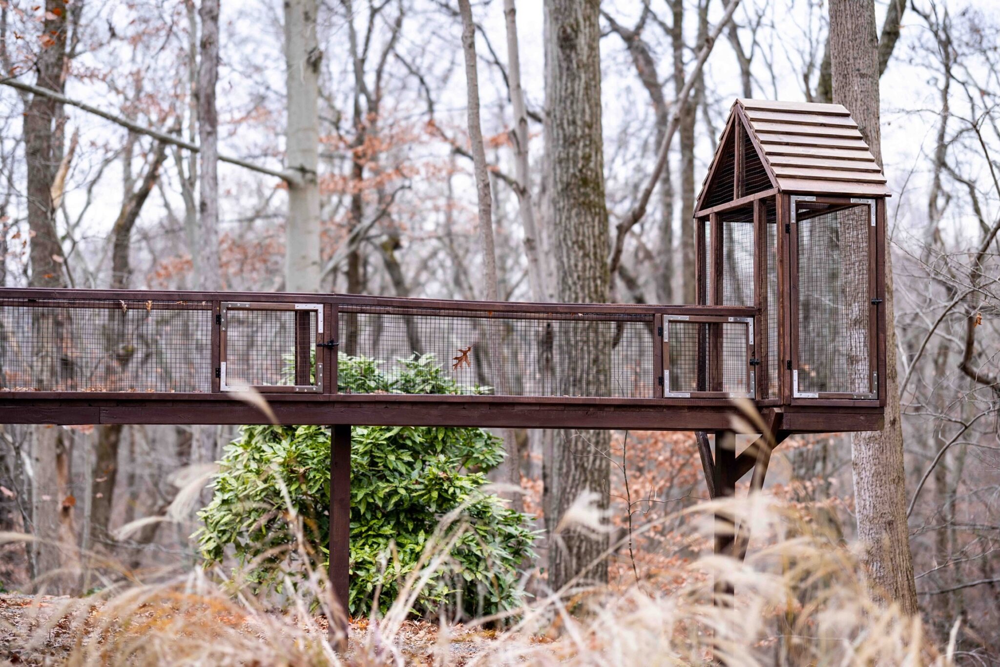 Catio Fencing: How to Pick the Right Fencing for your Catio - Cat Topia