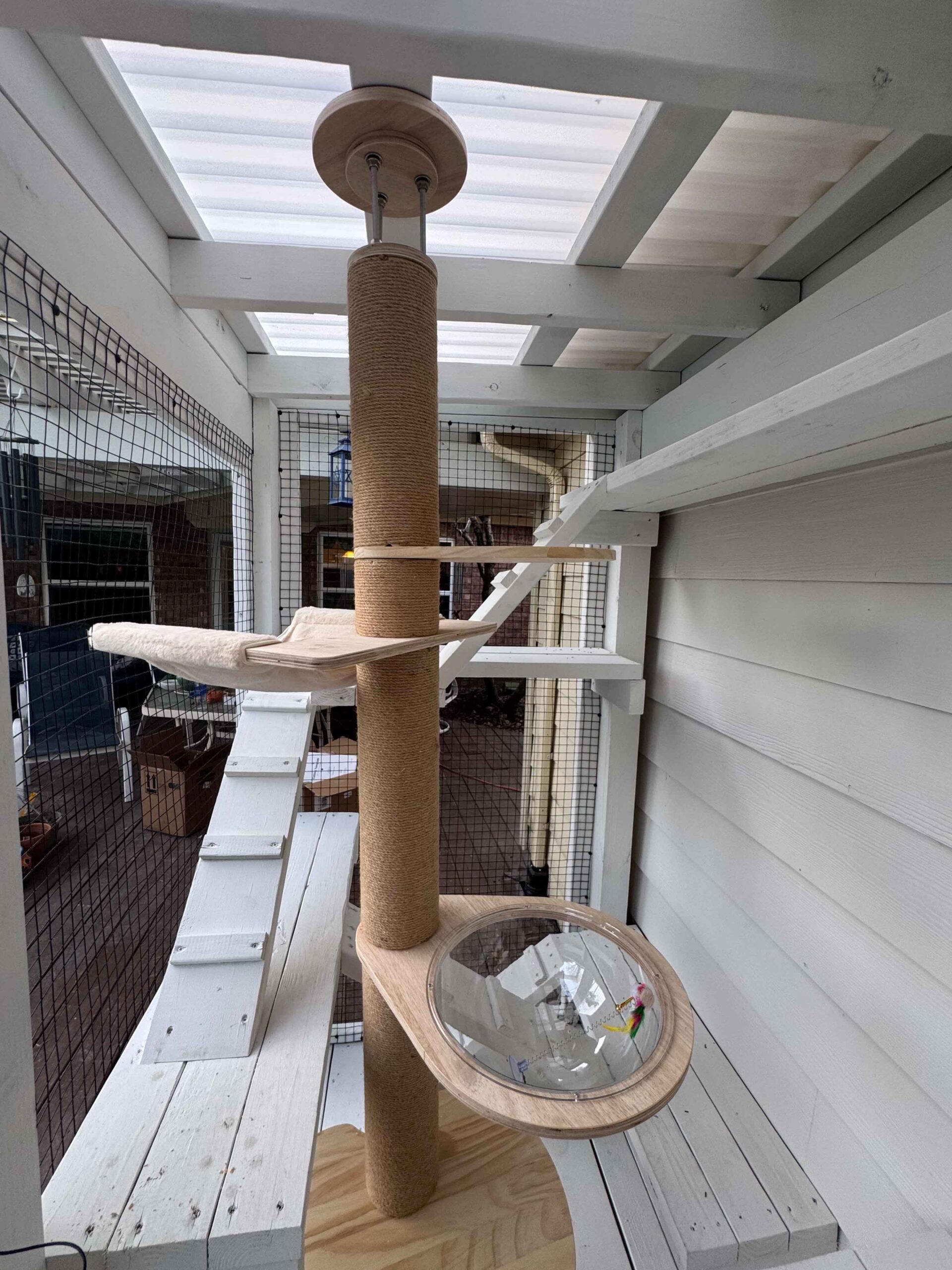 Houston Catio Build | Custom Garage Catio Installation | Cat Topia