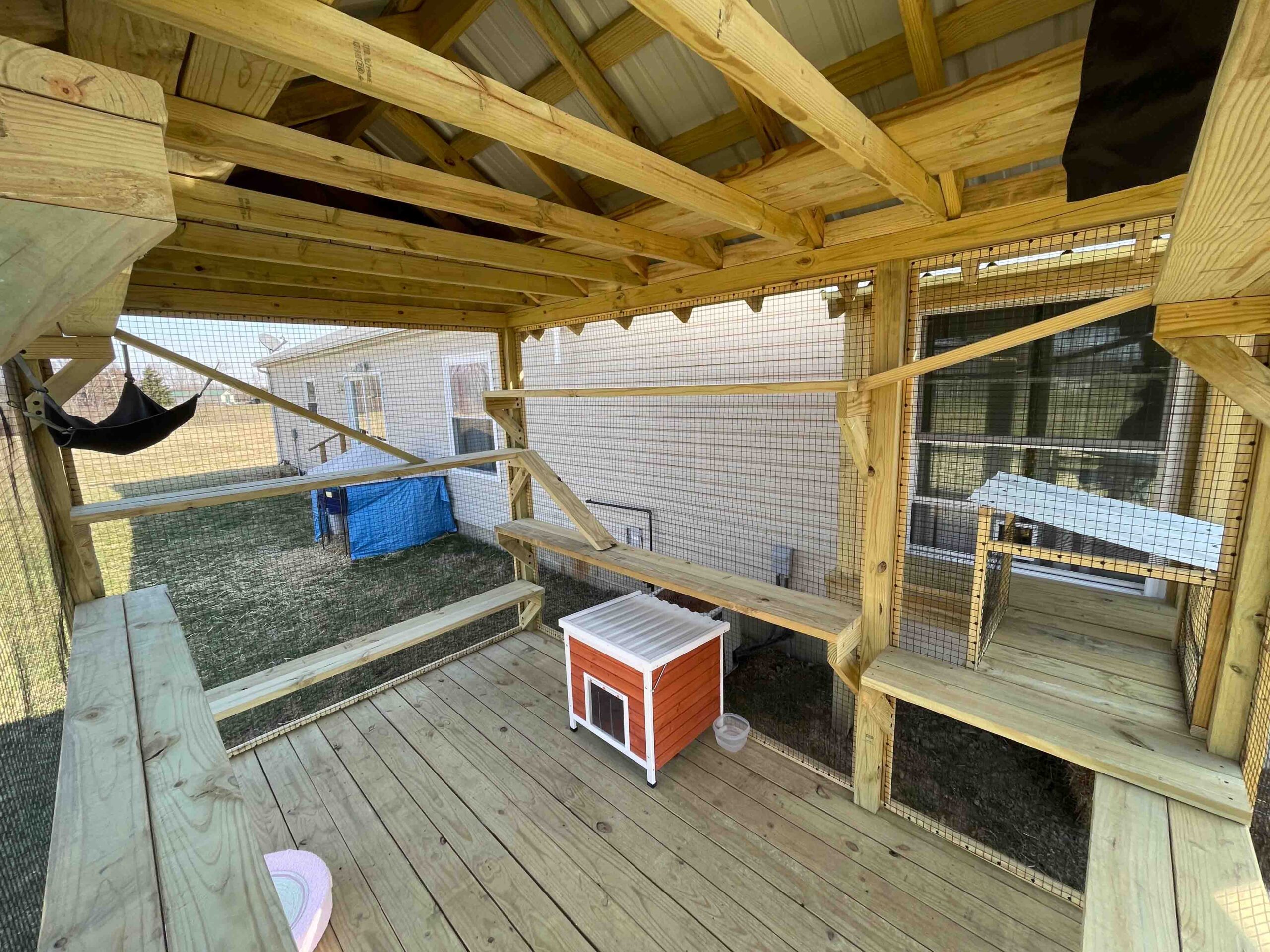Large Custom Catio For Sale | Liberty Loft
