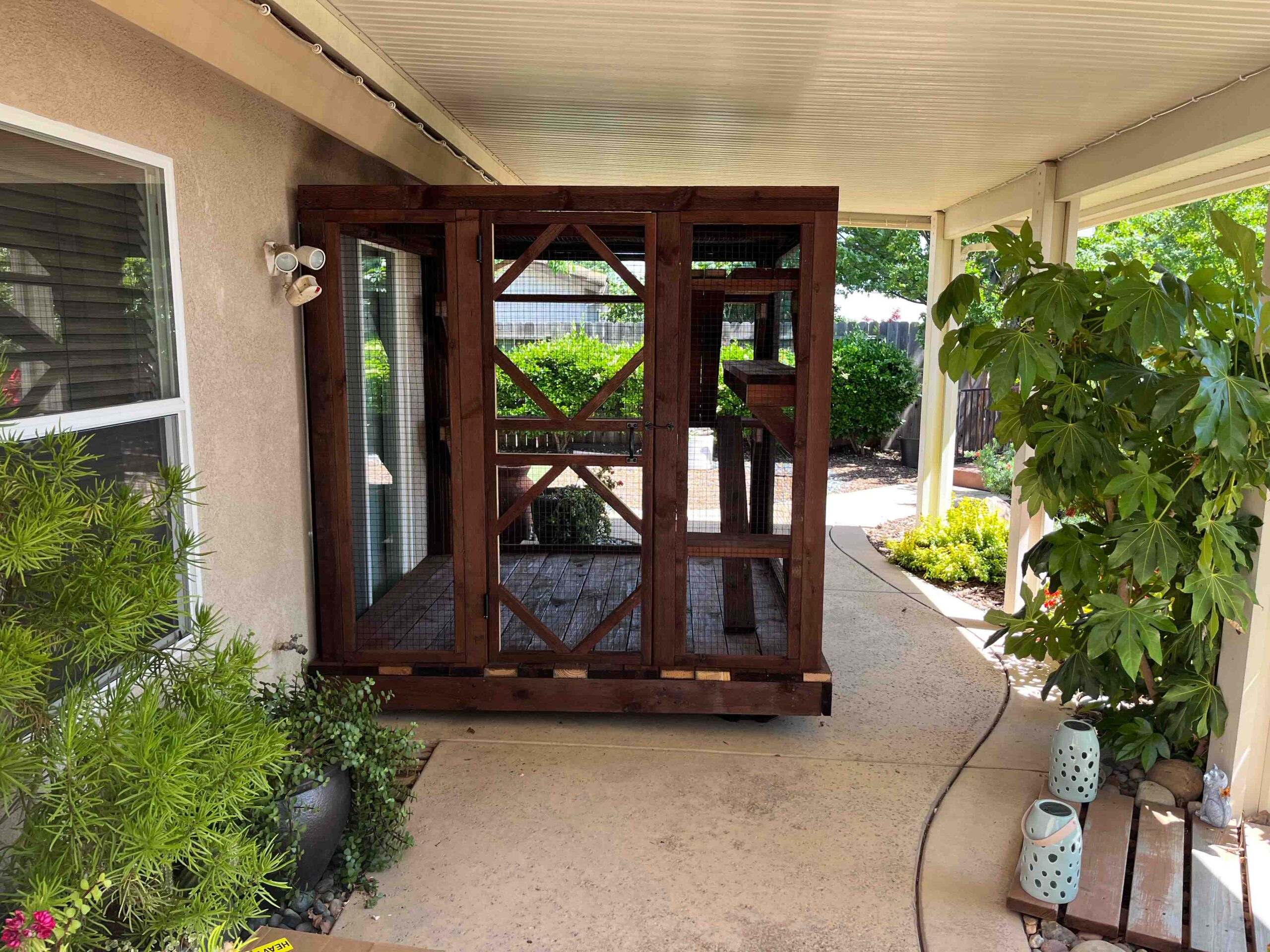 San Jose Catios | Cat Topia – California's Custom Catio Builders