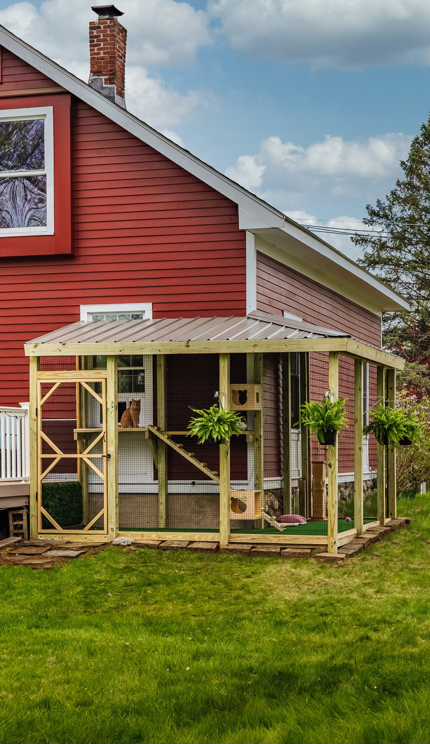 Vancouver Catios | Cat Topia – Washington’s Catio Builders