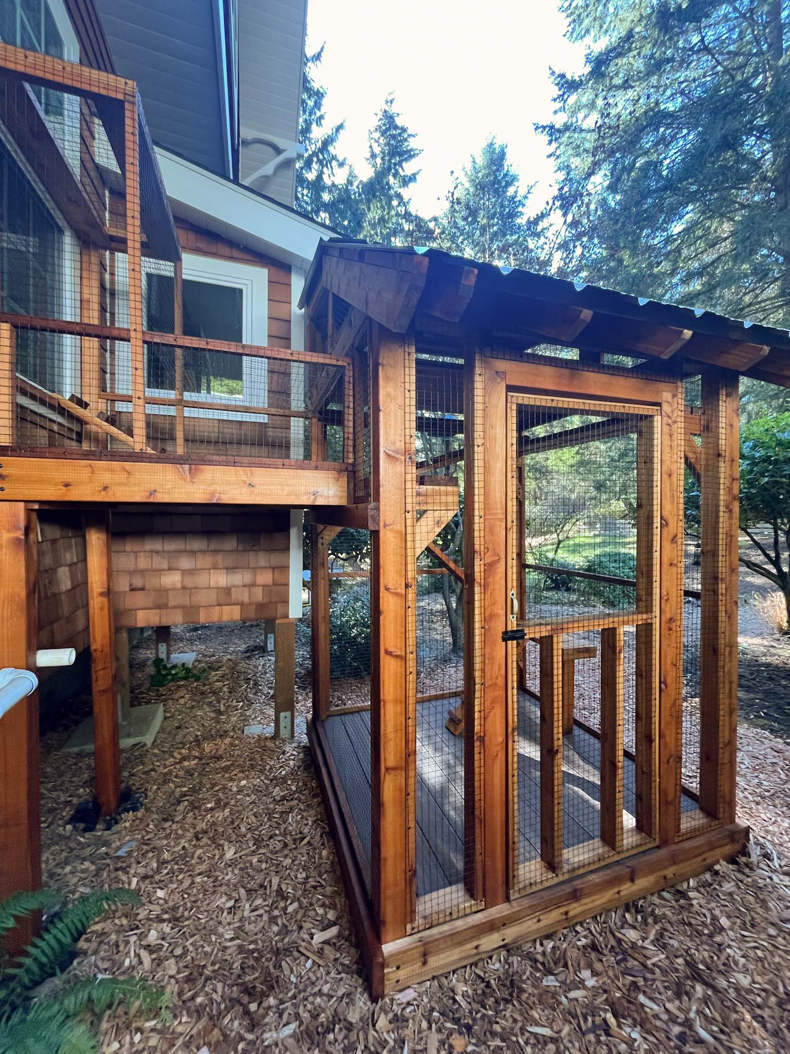 Bellevue Catios | Cat Topia – Washington’s Custom Catio Builders