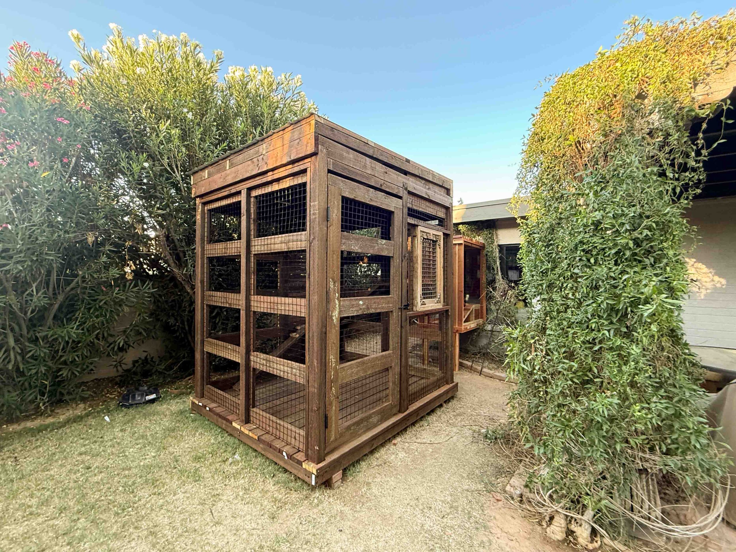 Tucson Catios | Cat Topia – Arizona's Custom Catio Builders