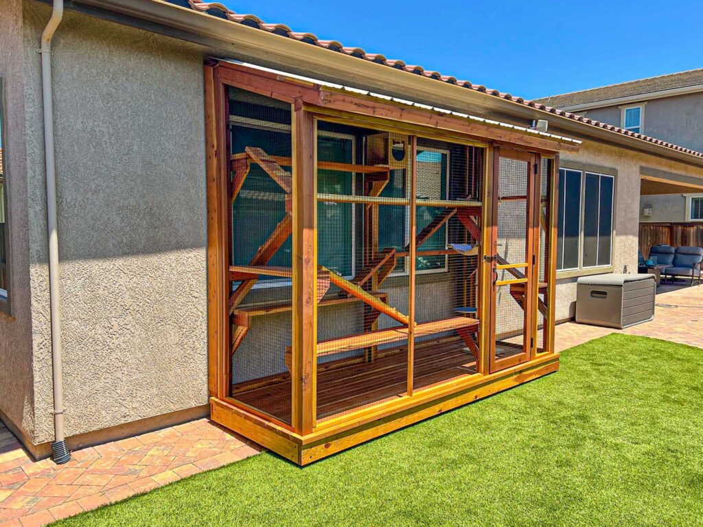 Elk Grove Catios | Cat Topia – California's Custom Catio Builders