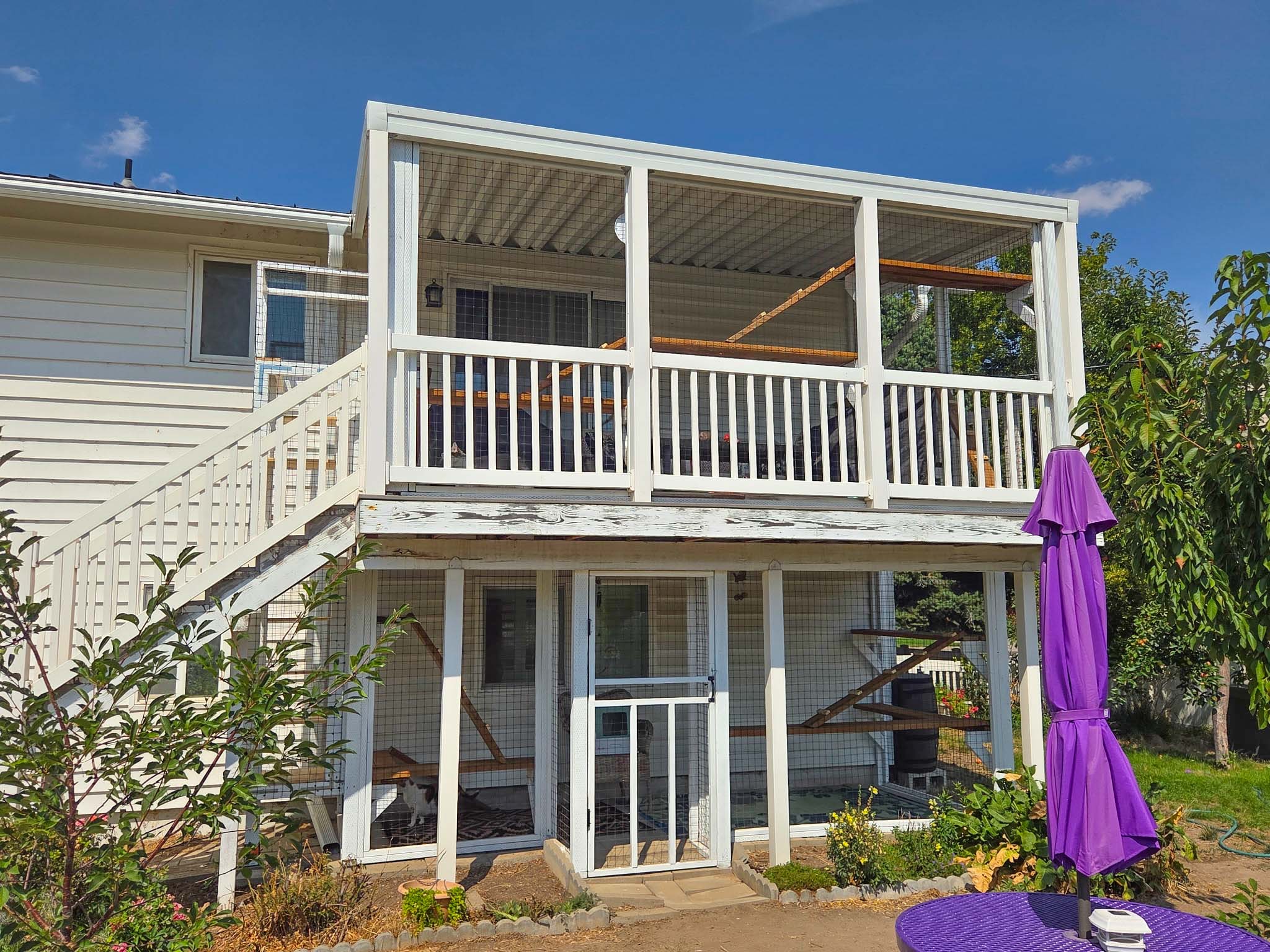 Mountain Home Catios | Cat Topia – Idaho's Custom Catio Builders