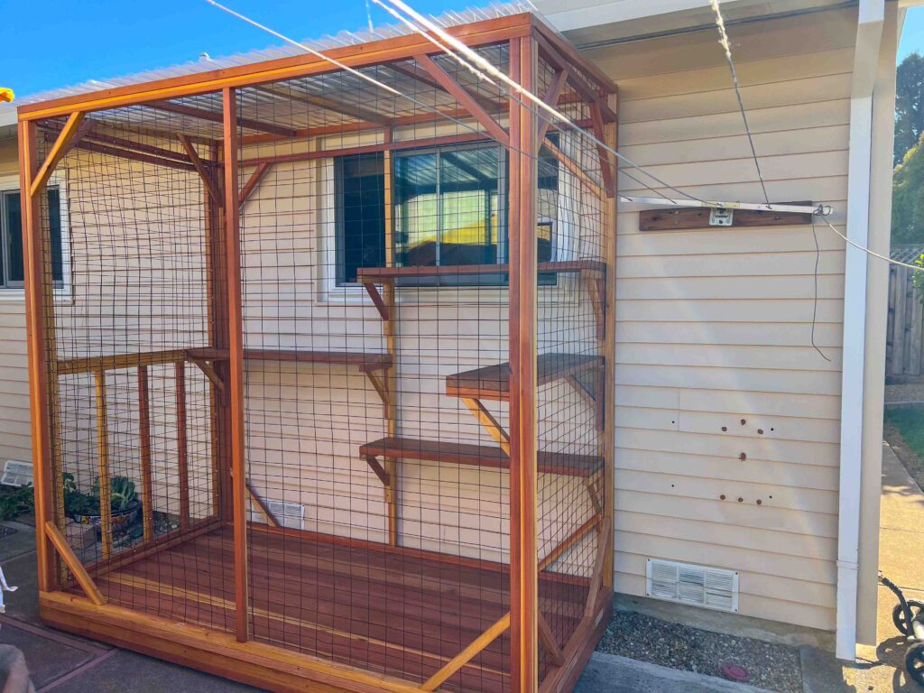 Napa Catios | Cat Topia – California's Custom Catio Builders