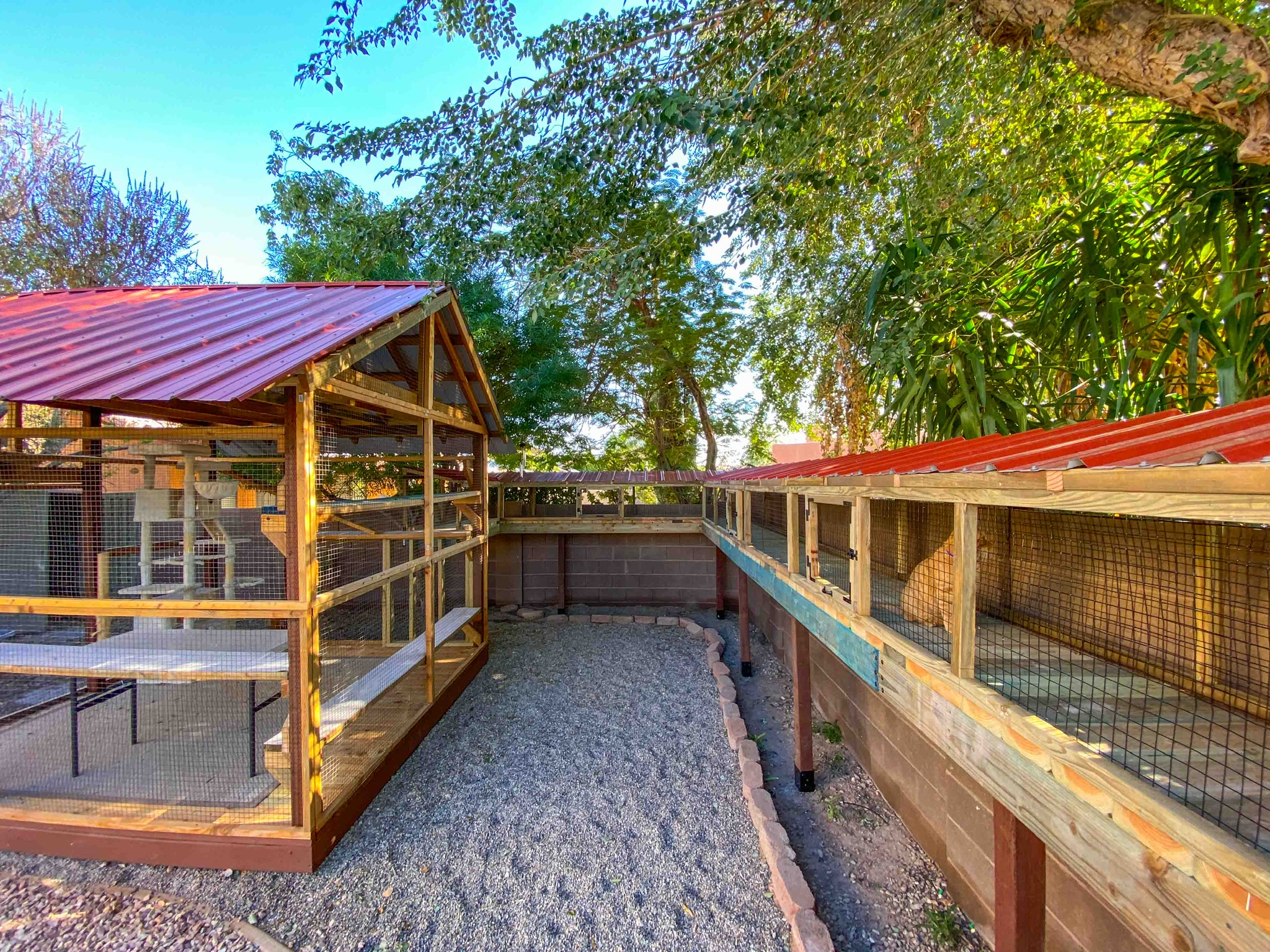 Acton Catios | Cat Topia – California's Custom Catio Builders