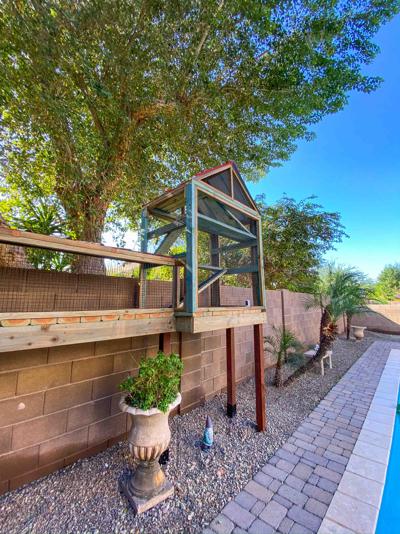Adelanto Catios | Cat Topia – California's Custom Catio Builders